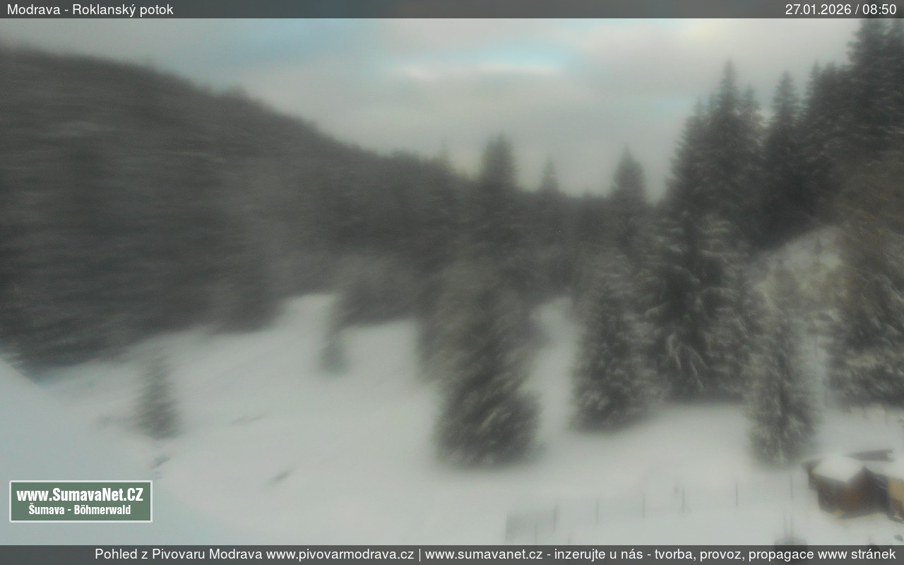 WEBKAMERA MODRAVA - ROKLANSKÝ POTOK | Šumava Net.CZ