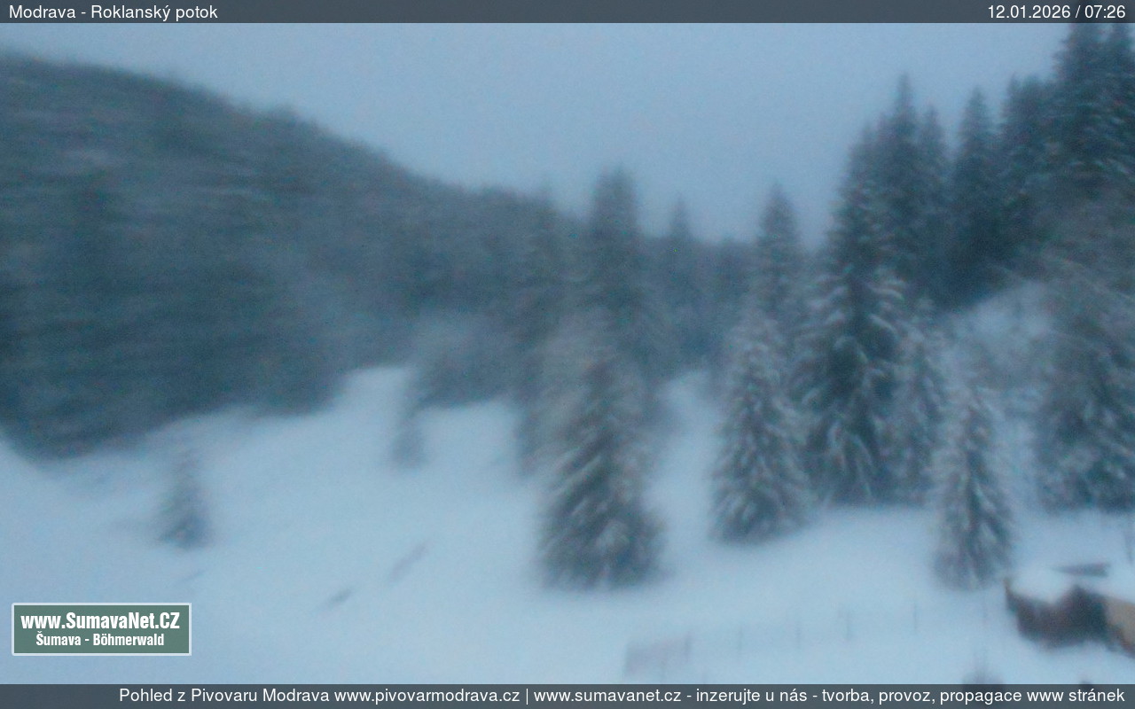 WEBKAMERA MODRAVA - ROKLANSKÝ POTOK | Šumava Net.CZ