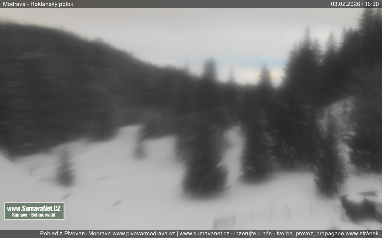 WEBKAMERA MODRAVA - ROKLANSKÝ POTOK | Šumava Net.CZ