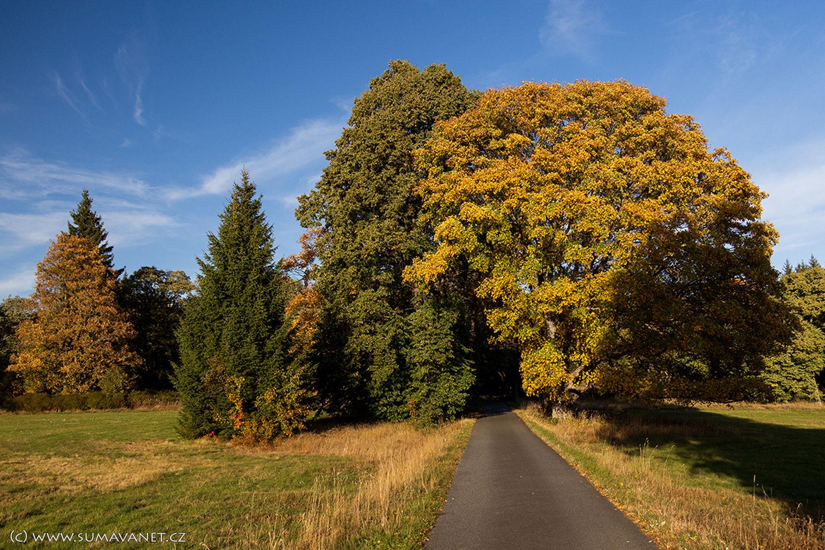 Podzim na Hůrce | Böhmerwald Net.DE - Sumava Net.CZ